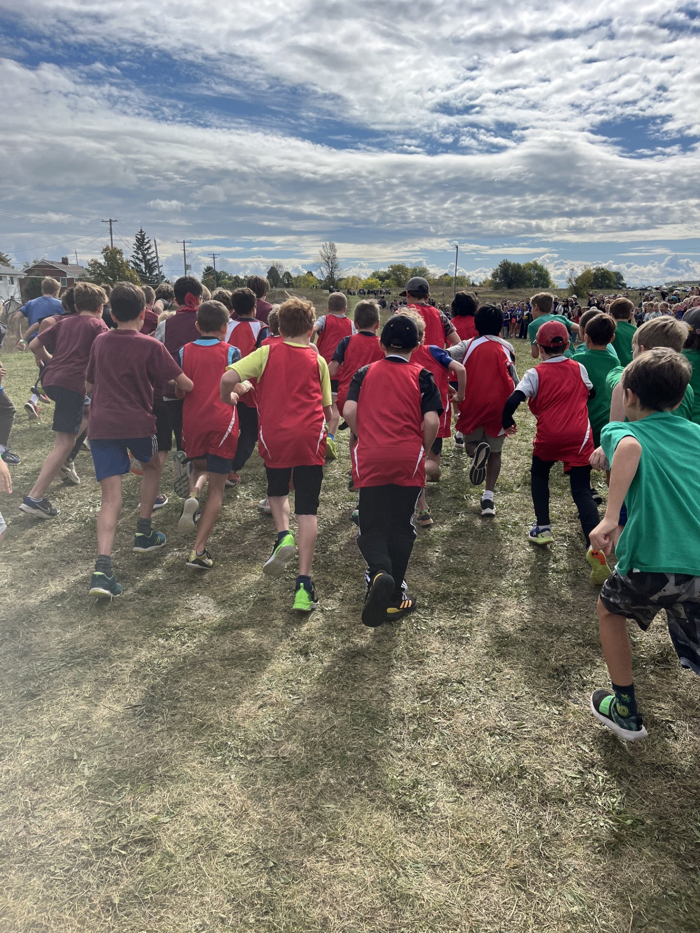 Home - École Maple Elementary School
