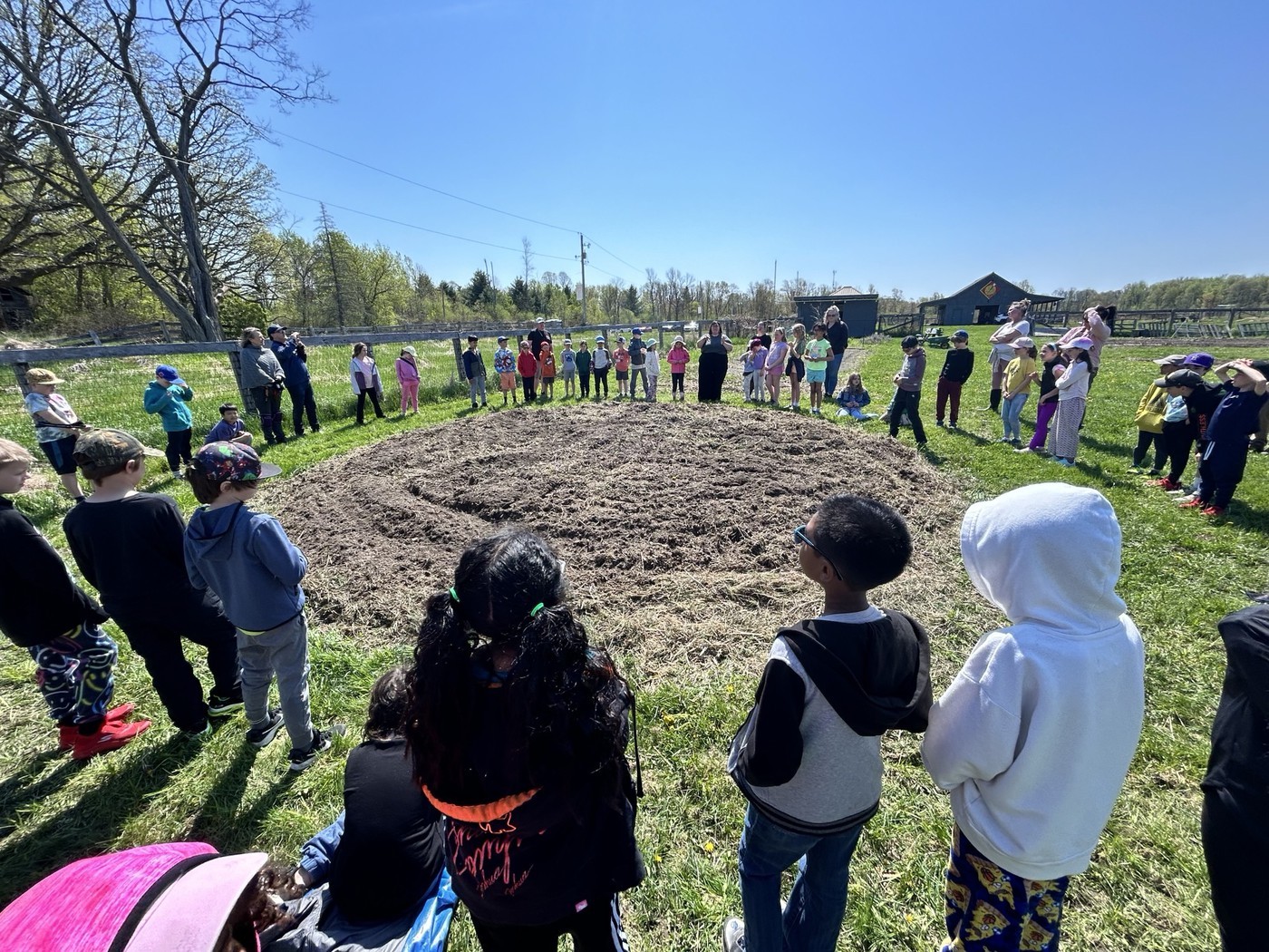 Home - École Maple Elementary School